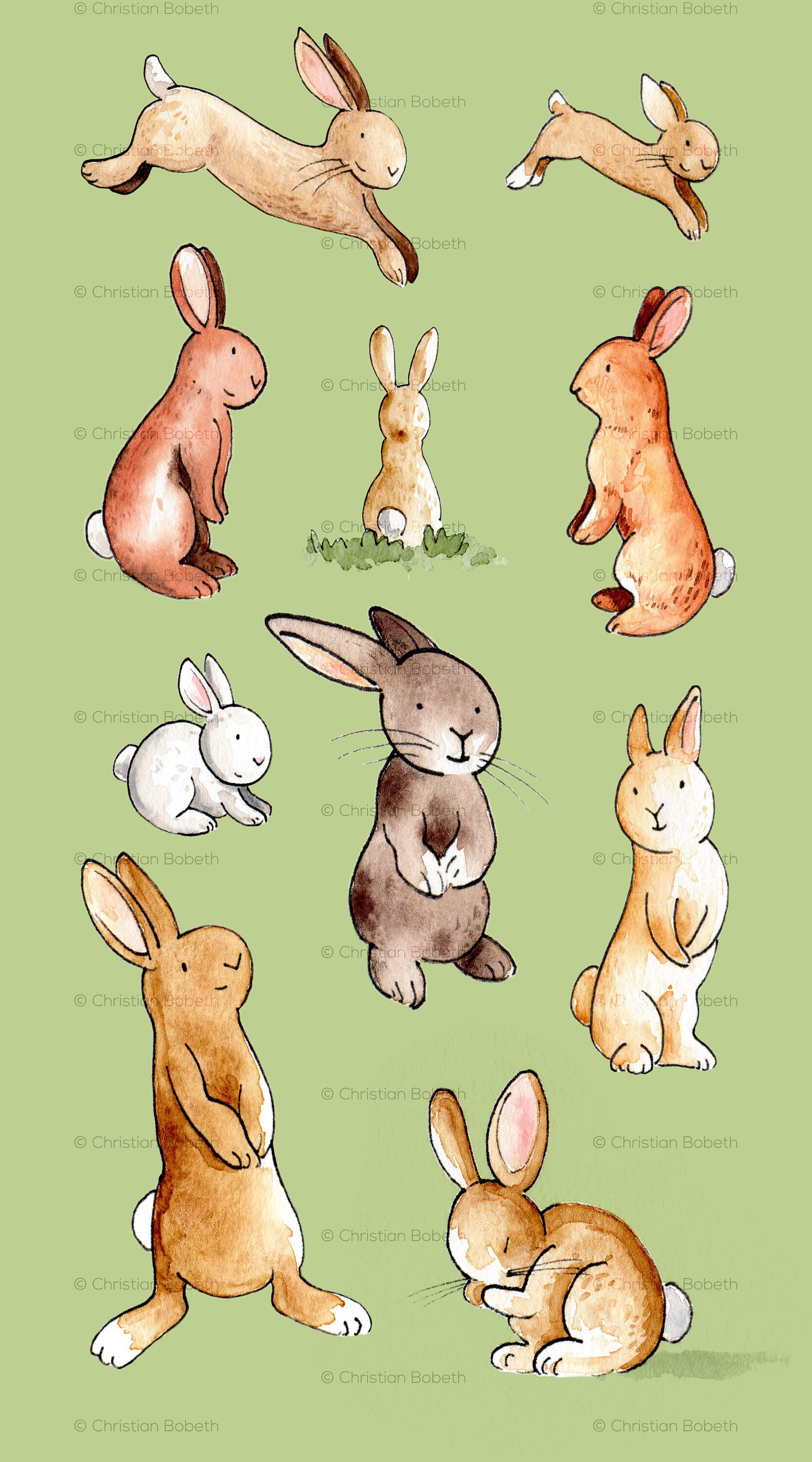 WATERCOLOR CLIPART, Rabbit Clipart Set, Rabbits to Download, Rabbit ...