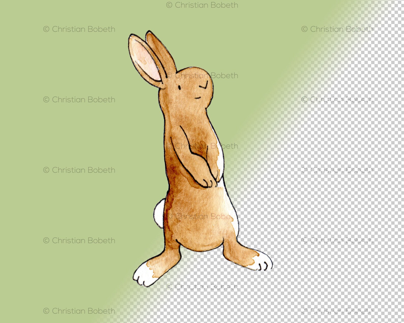 WATERCOLOR CLIPART, Rabbit Clipart Set, Rabbits to Download, Rabbit ...