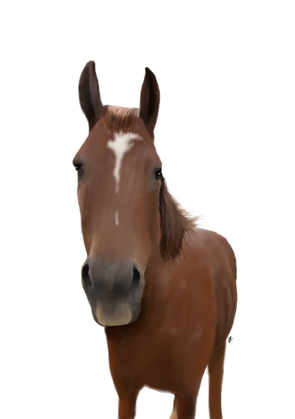 Digital Animal Commissions, Digital Drawing of Animals, Made to Order ...