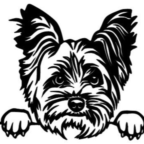 Yorkie SVG DXF Png Jpg Digital Download Silhouette | Etsy