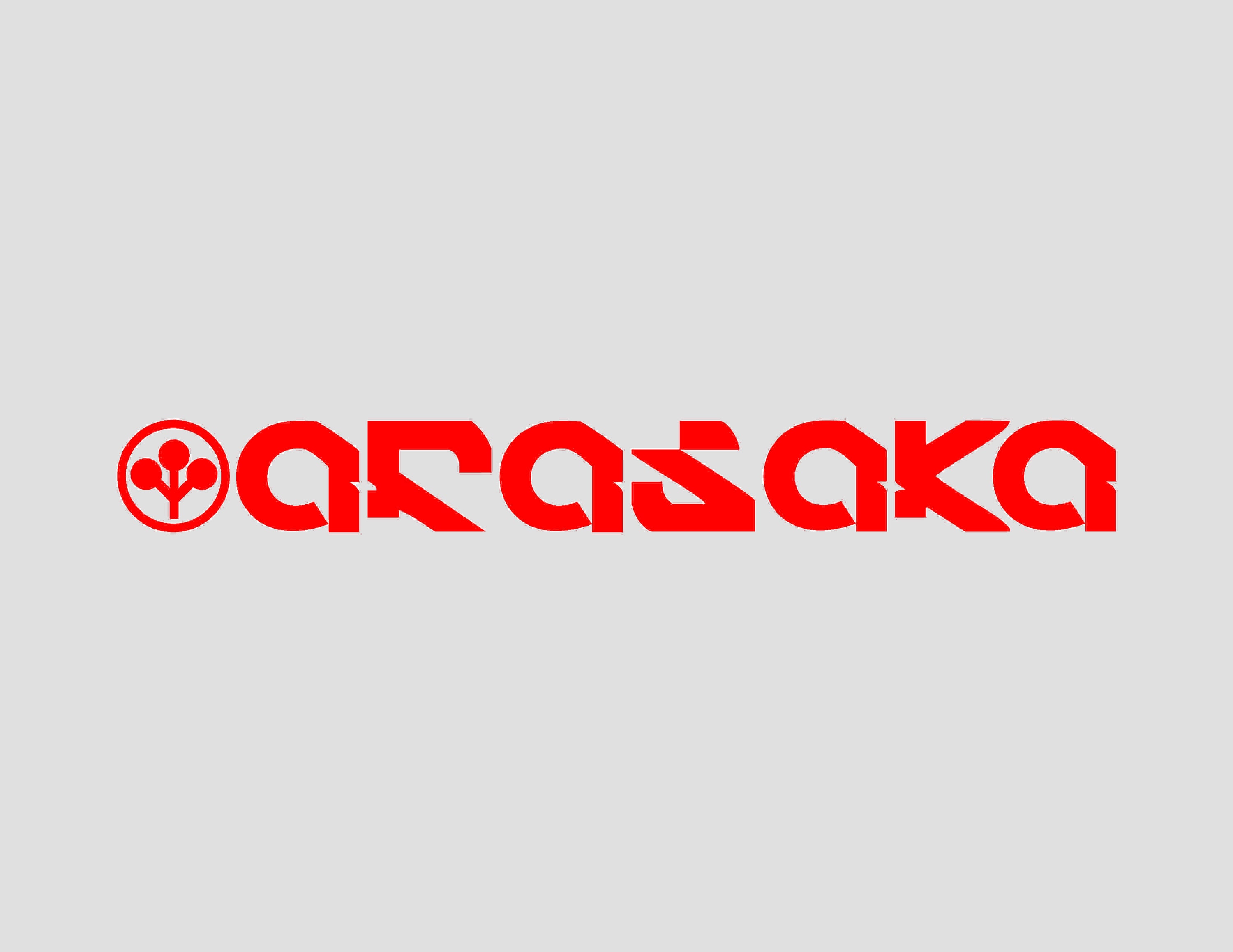ARASAKA PUNKCYBER - Etsy