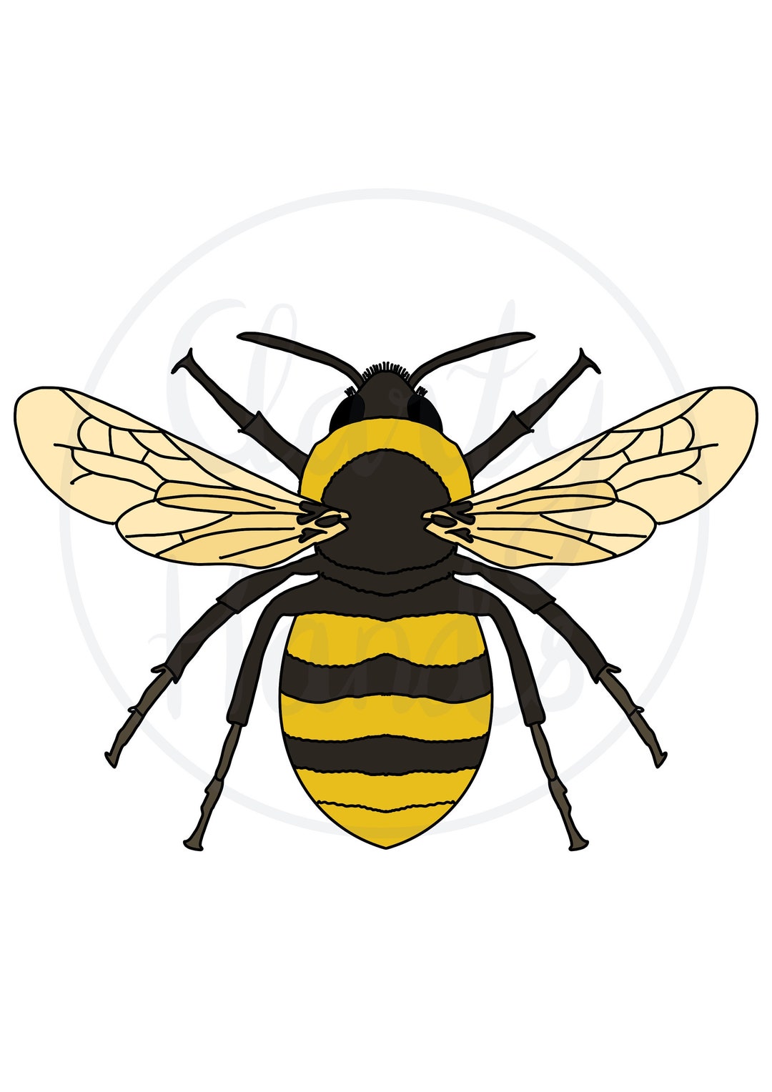 Clipart Images | Clipart Bumblebee | Digital Stickers | Bumblebee PNG ...