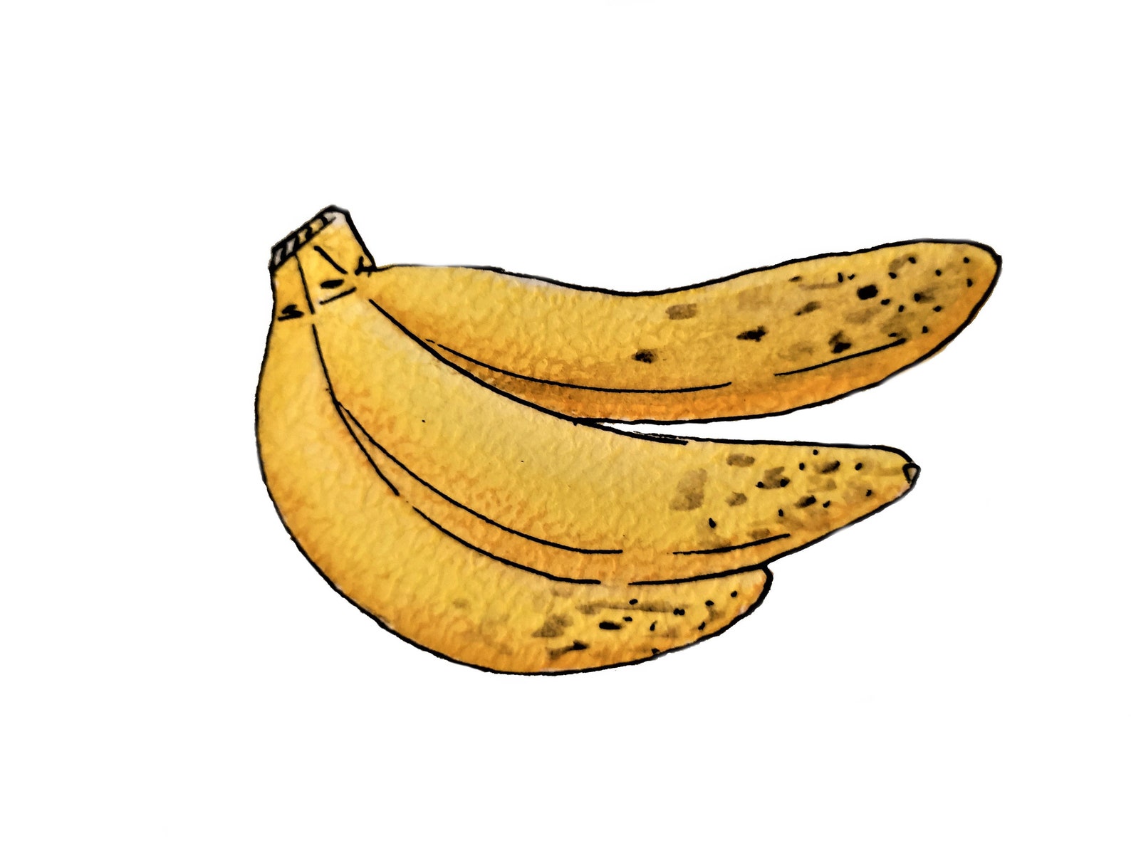 Affiche fruits et légumes de saison cadeau Noël - Etsy France