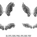 20 Black Bird Feather Angel Wings Illustration Collection Clip Art ...