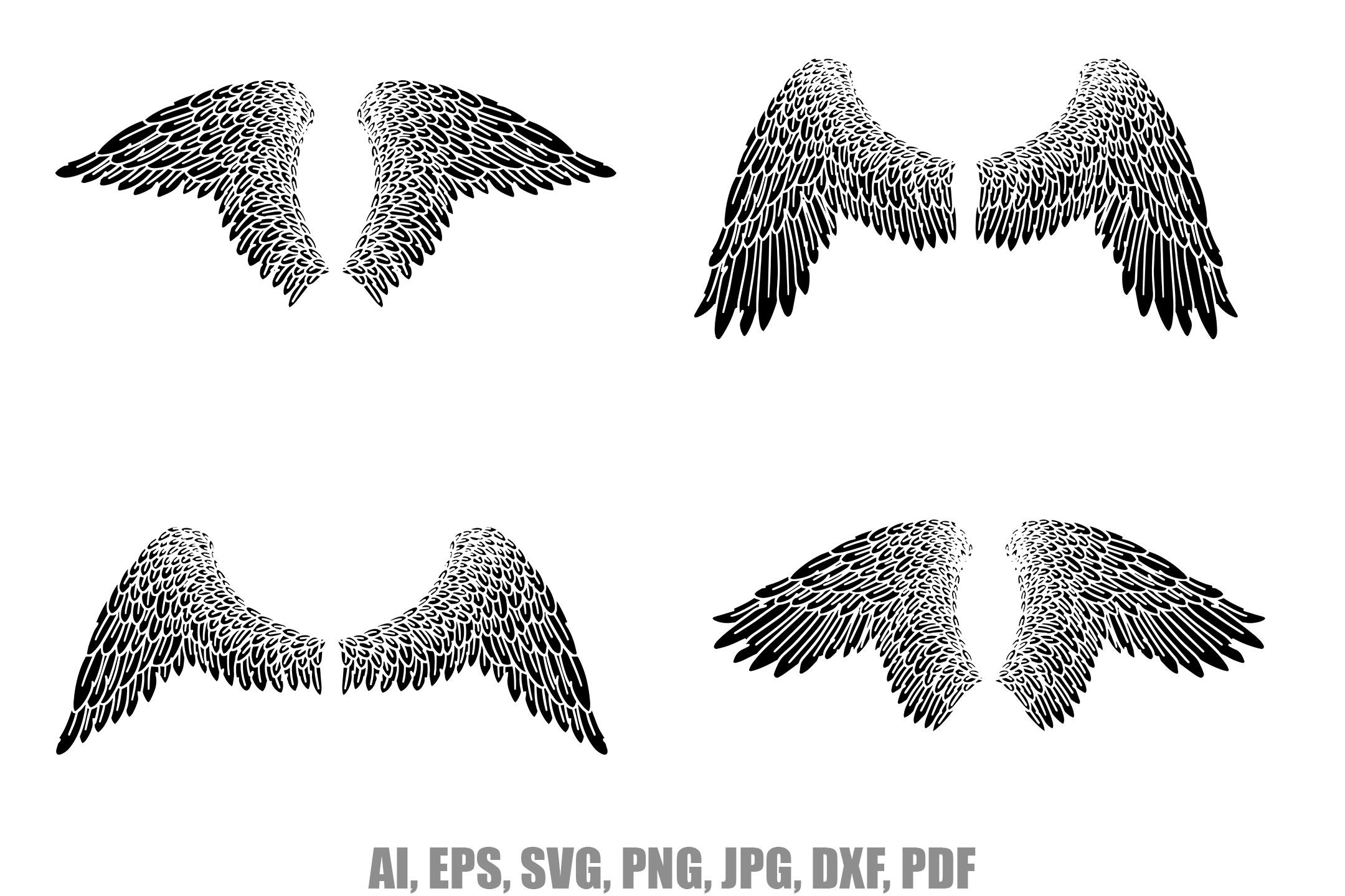 20 Beautiful Black Bird Feather Angel Wings Illustration Collection ...