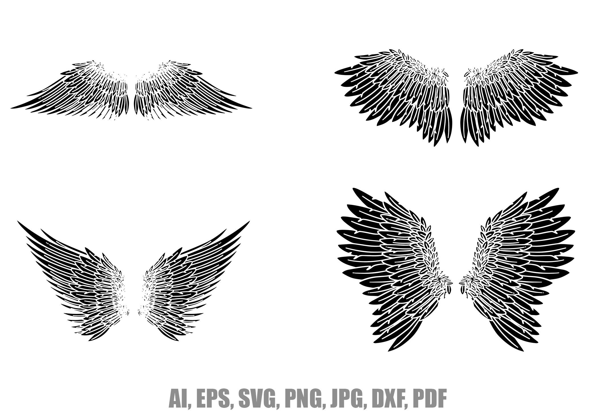 20 Beautiful Black Bird Feather Angel Wings Illustration Collection ...