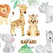 Watercolor Safari Clipart, Hand Painted, High Quality, Digital Download ...