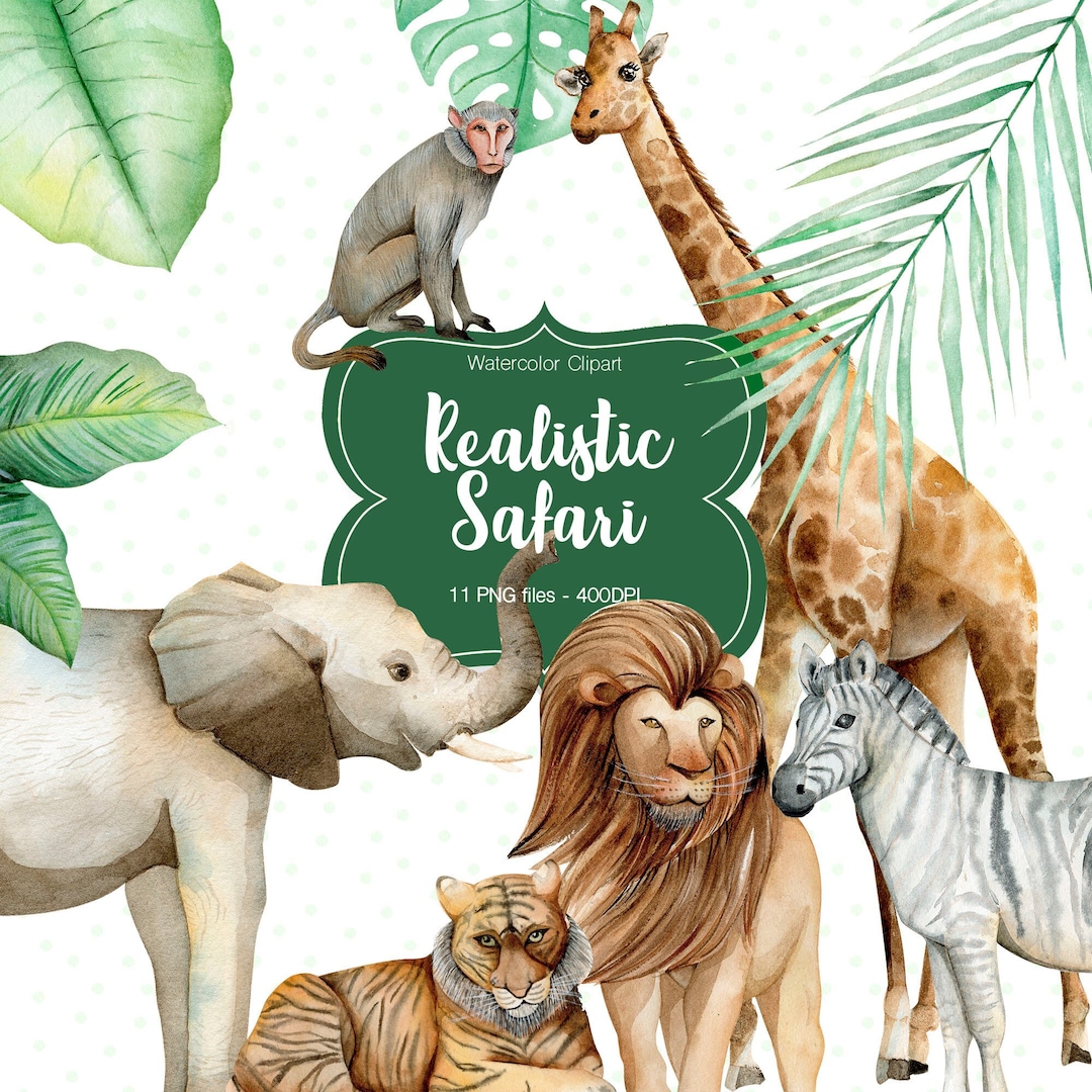Watercolor Realistic Safari Clipart, Hand Painted, High Quality ...