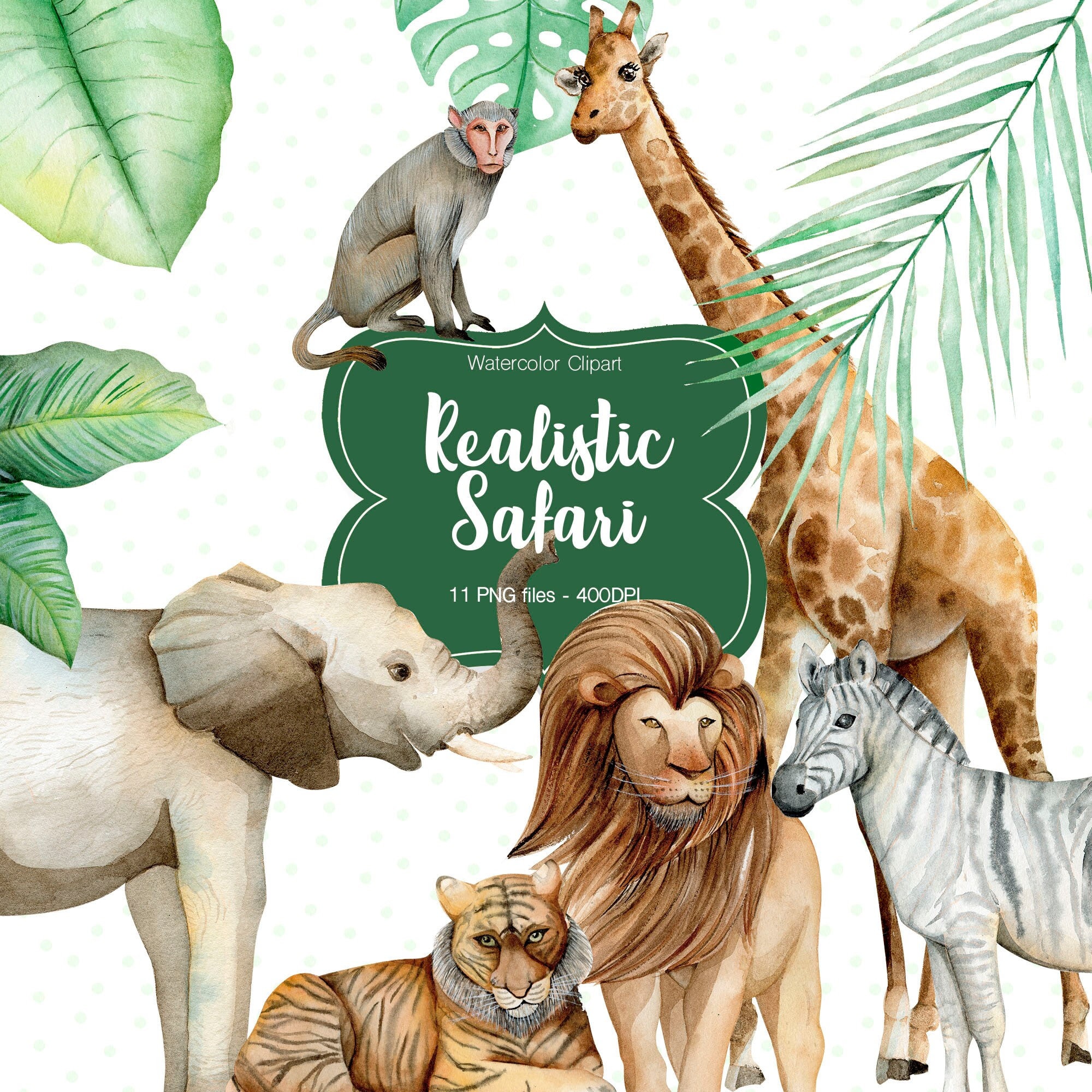 Watercolor Realistic Safari Clipart, Hand Painted, High Quality ...