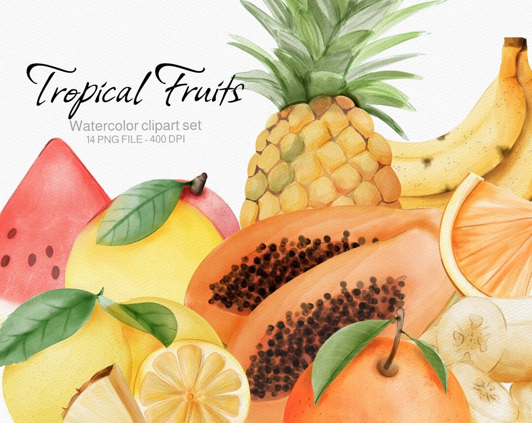 Watercolor Fruits Clipart Set, Tropical Fruits Illustrations Set ...