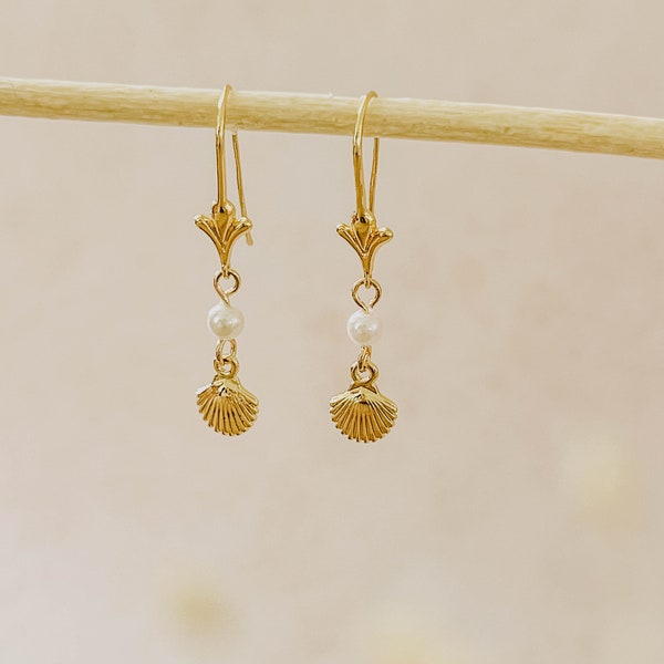 Seashell Earrings - Etsy