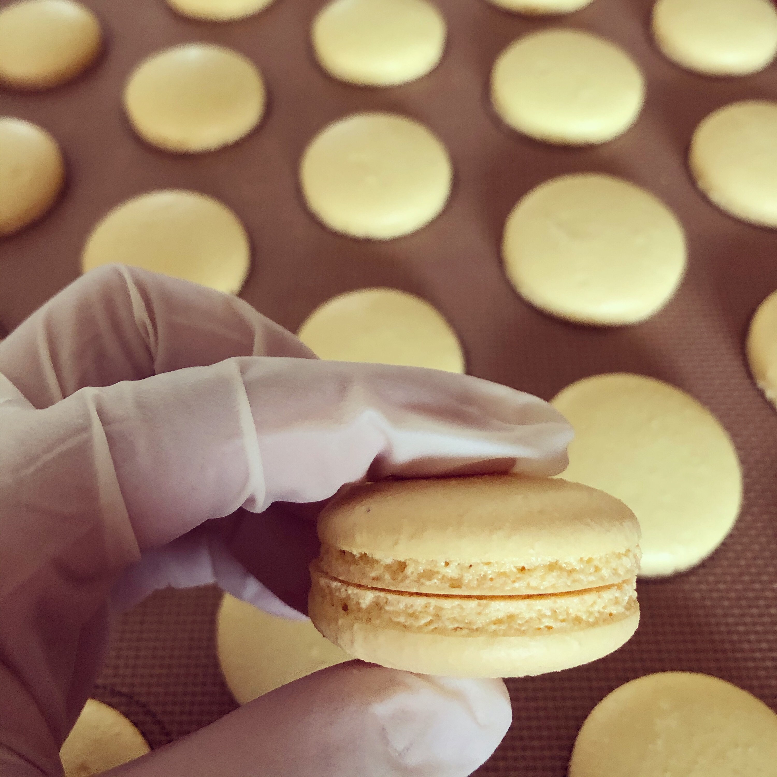 Macaron francés 72 conchas solo conchas sin relleno 36 - Etsy España