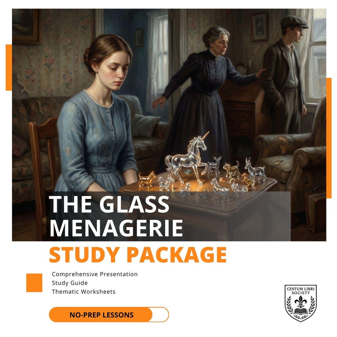 THE GLASS MENAGERIE Powerpoint Presentation Pack (digital Download ...
