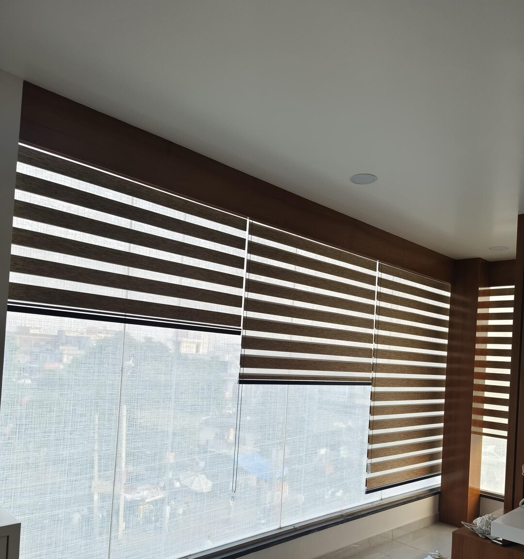 Zebra Blind for Window Roller Shades for Door Spring Simre Home Living ...
