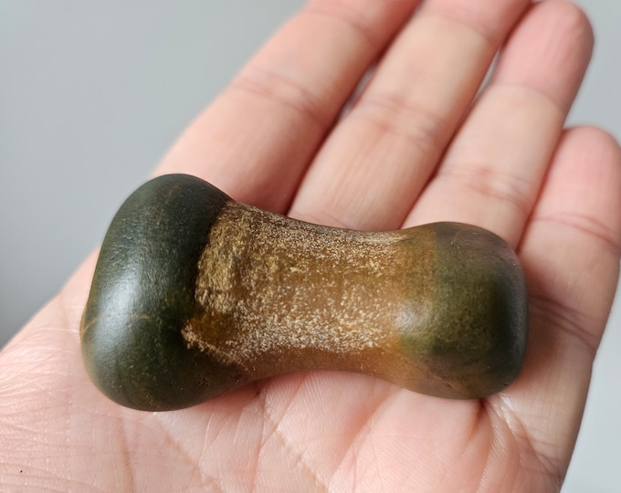 A Rare Bone Shaped Witch Stone From Giants Causeway, Northern Ireland ...