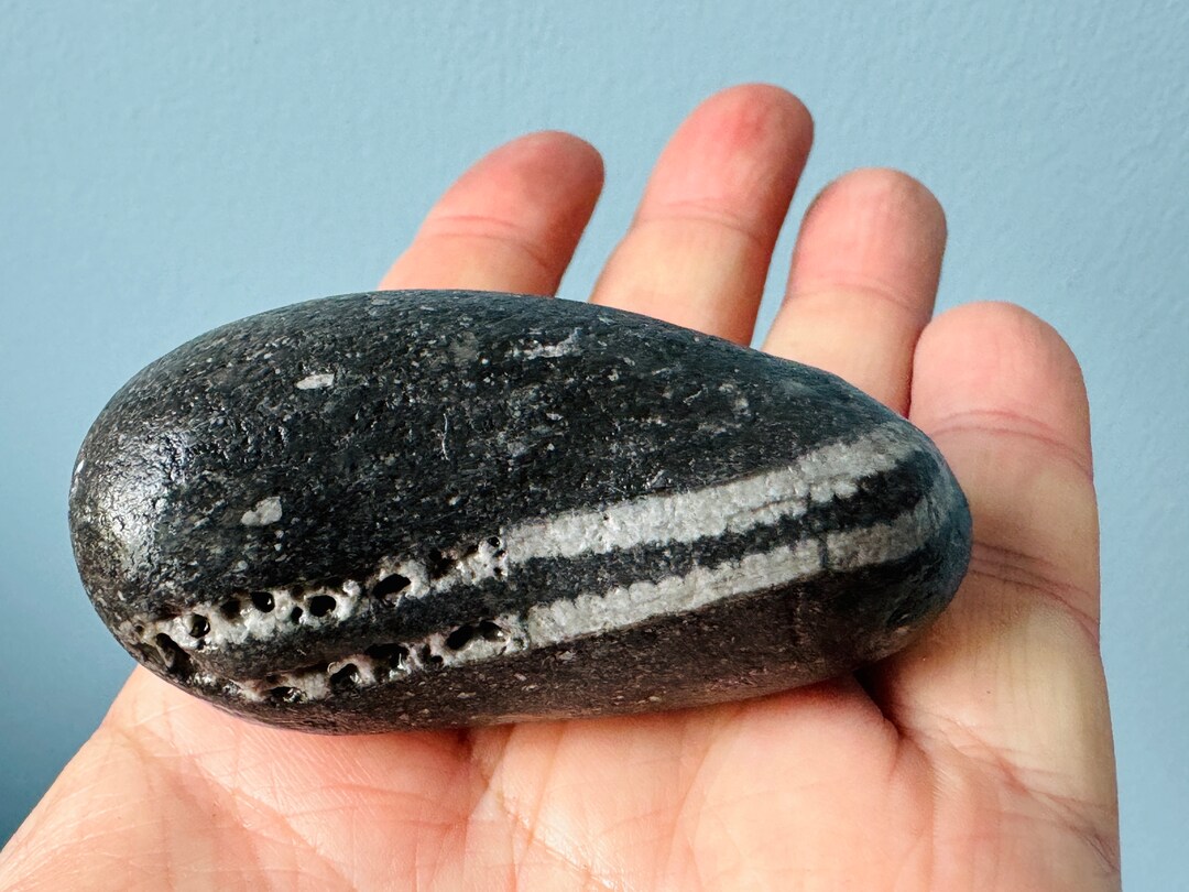 Very Rare Irish Healing Stone With Fossils Rare Celtic Wishing Stone ...