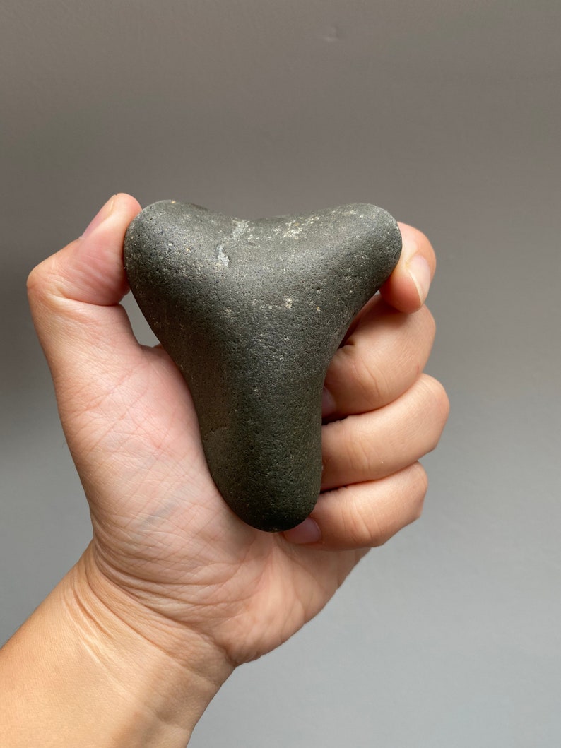 Rare Large Shark Teeth Shaped Healing Stone From Ireland | Etsy