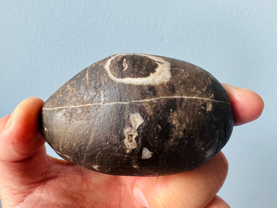 Rare Large Irish Wishing Stone With Fossils Rare Celtic Wishing Stone ...