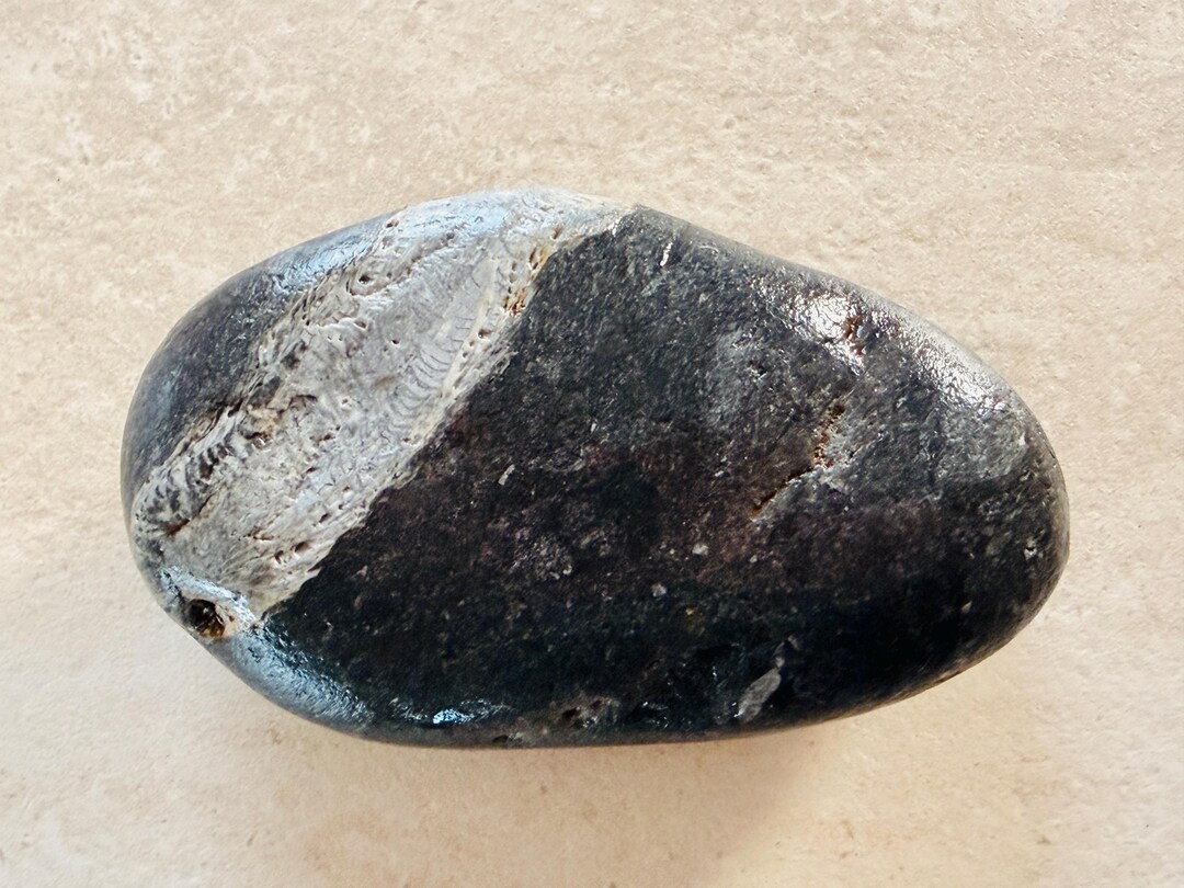 A Huge Healing Stones With Fossils From Ireland - Rare Celtic Wishing ...