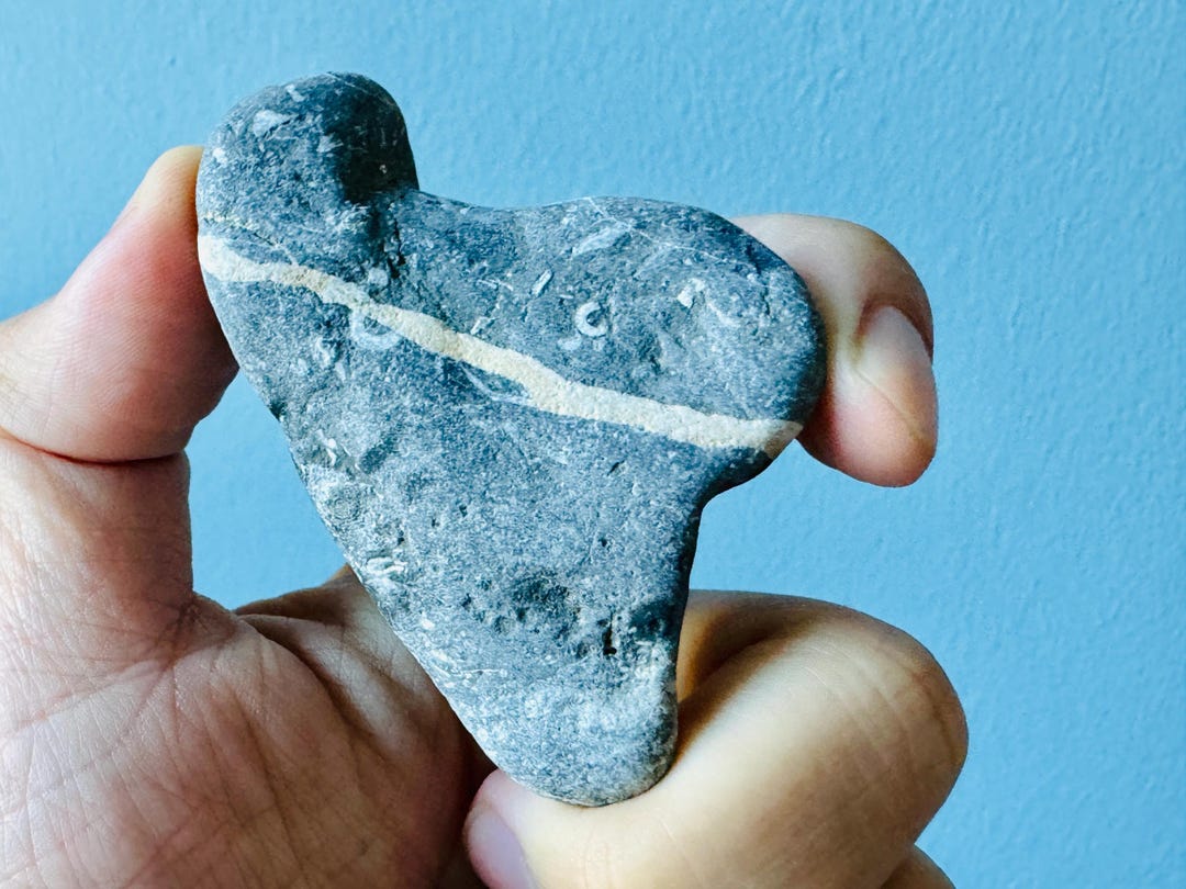 A Unique Heart Rock With Full Fossils From Ireland - Rare Irish Wishing ...