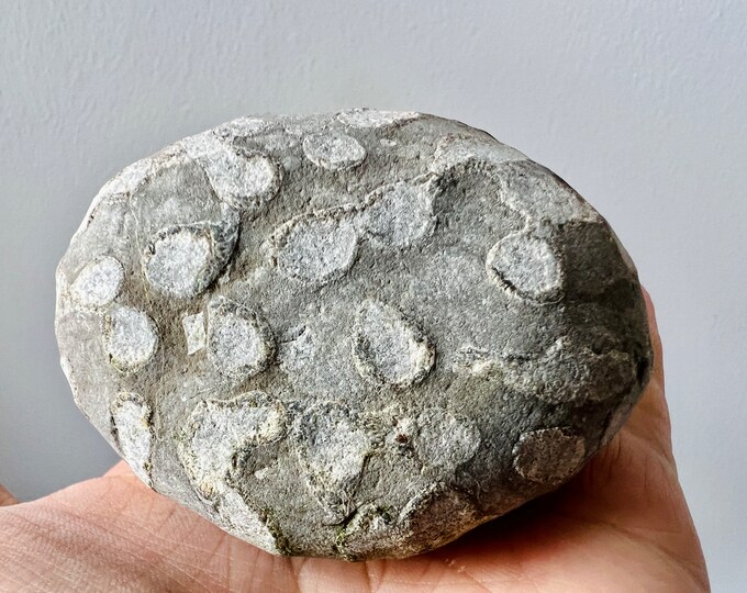 Very Rare Huge Raw Fossil Healing Stone From Ireland - Rare Celtic ...