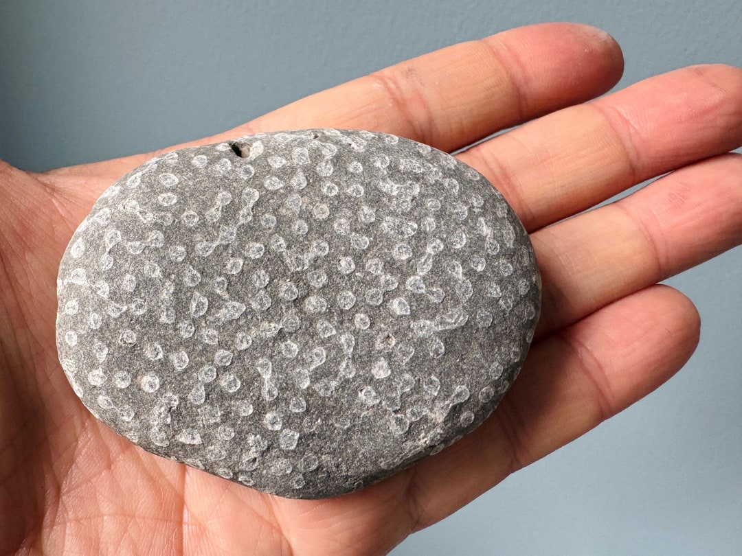 A Unique Healing Stone With Fossils From Ireland - Rare Celtic Wishing ...