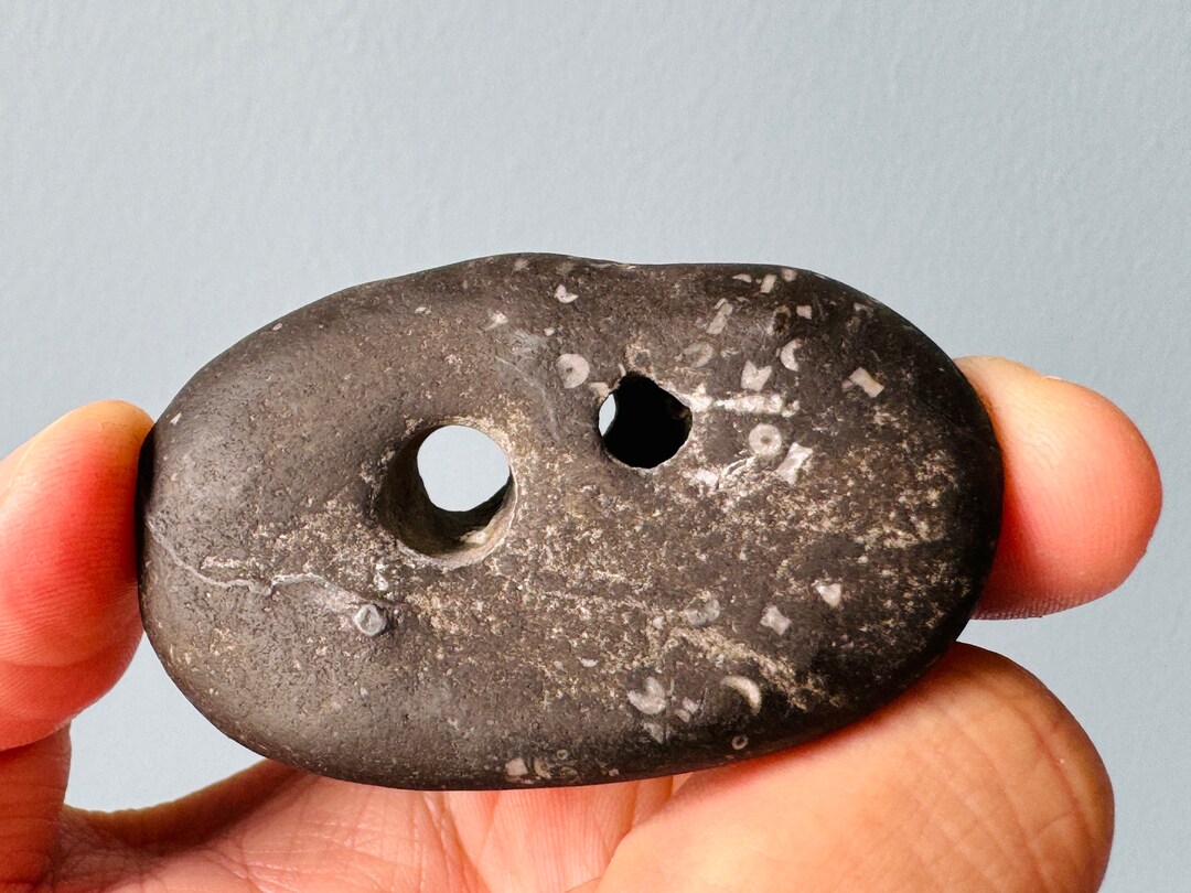 Rare Celtic Hag Stone With Full Fossils From the Most Northern Point of ...