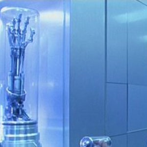 Terminator T-800 Endoskeleton Arm Display Keychain - Etsy