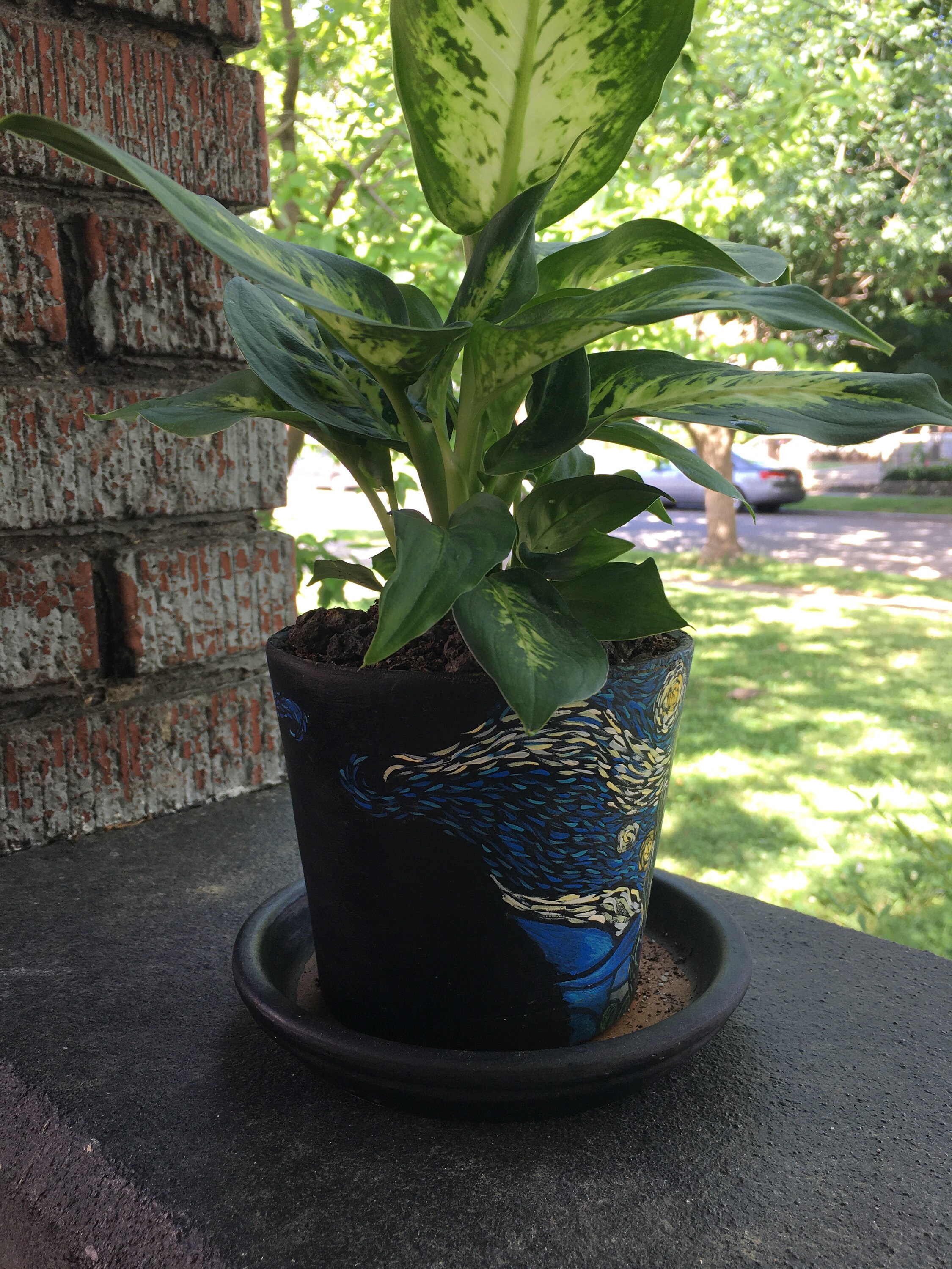 Hand Painted 4.75 Terra Cotta Pot Starry Night by Vincent Van Gogh - Etsy