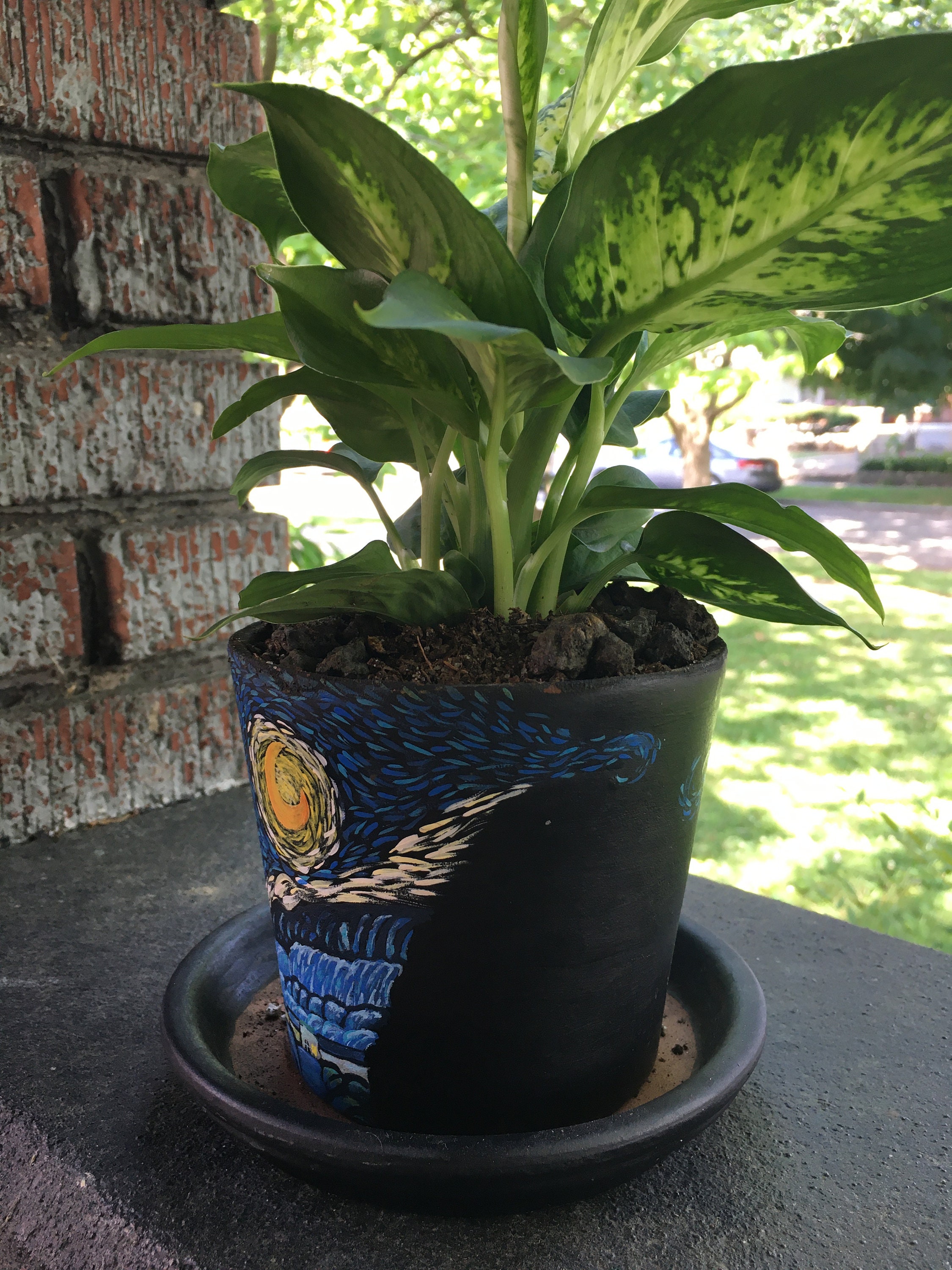Hand Painted 4.75 Terra Cotta Pot Starry Night by Vincent Van Gogh - Etsy