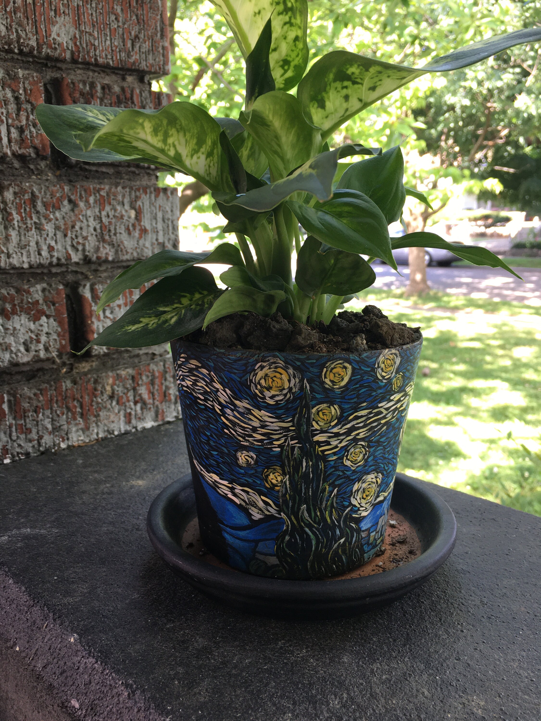 Hand Painted 4.75 Terra Cotta Pot Starry Night by Vincent Van Gogh - Etsy