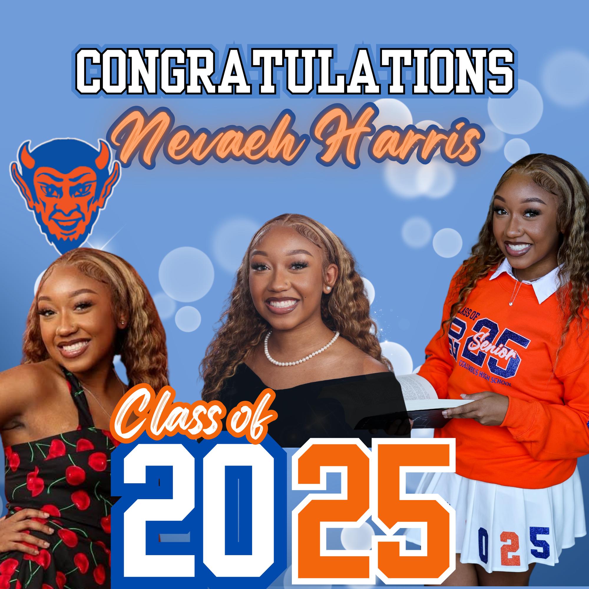 Graduation Party High School Senior Backdrop Editable Template 8x8 Grad ...