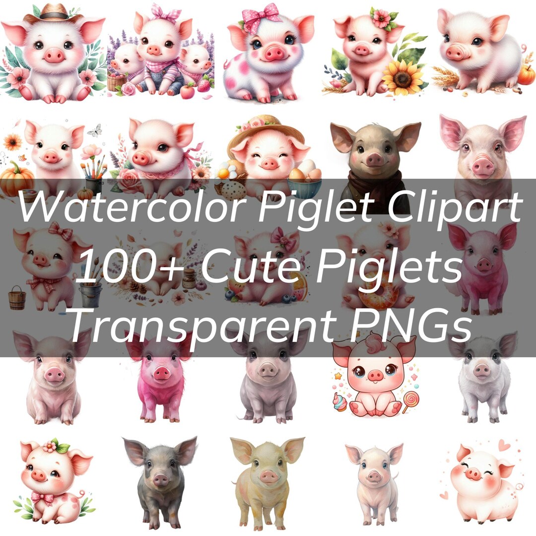 100+ Cute Piglets Watercolor Clipart Bundle, Funny Piglet Transparent ...