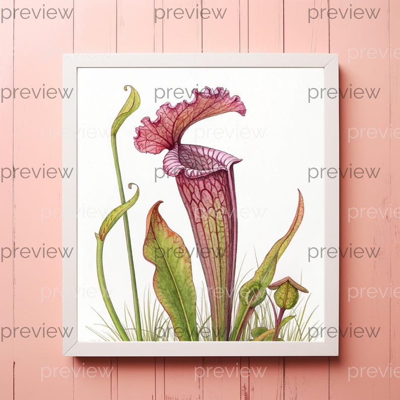 Carnivorous Plants Watercolor Image Bundle, Colorful Designs, Digital ...