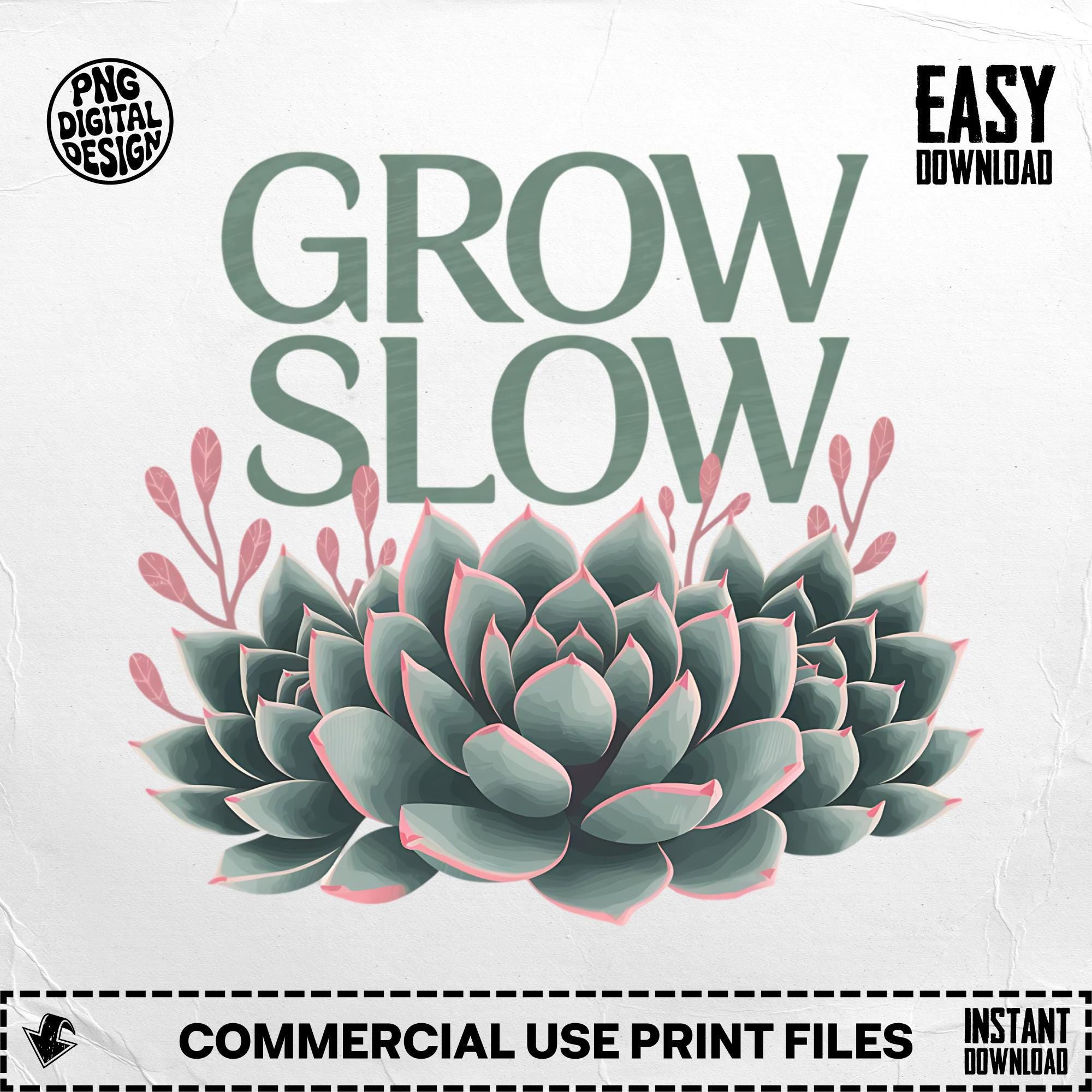 Grow Slow PNG, Succulent Clipart, Plant Png, Positive Quote Png ...