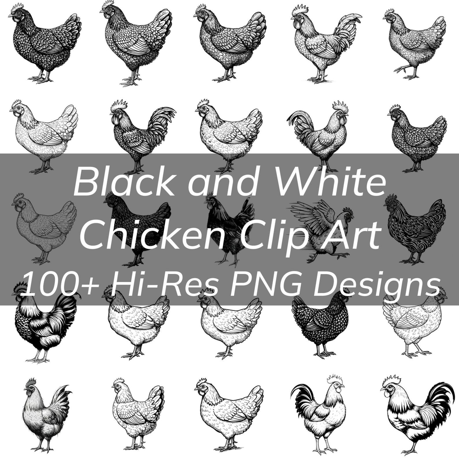 Black and White Chicken Clip Art Bundle 100+ Transparent PNG Chicken ...