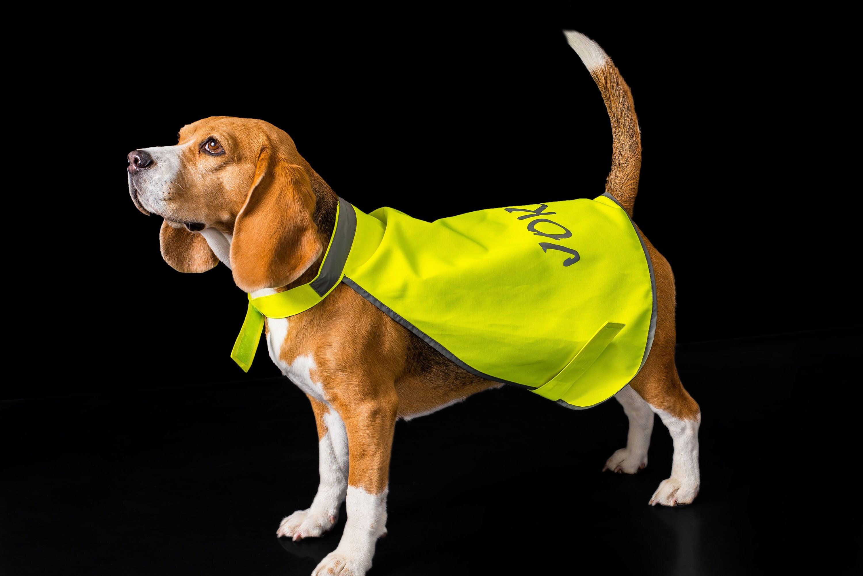 Reflective Safety Vest Lightweight Neon Vest for Small Medium - Etsy