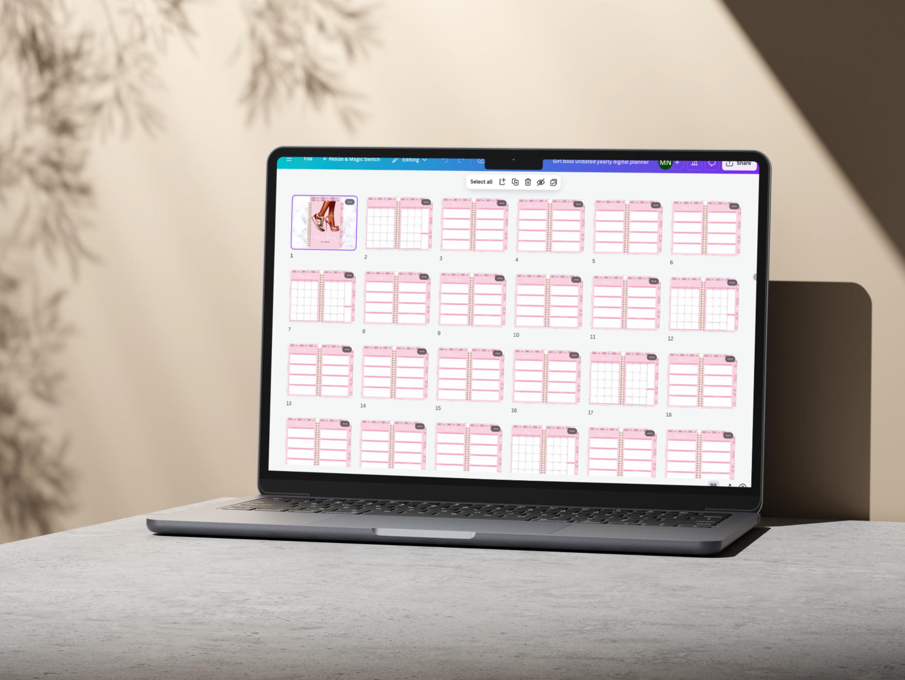 PLR Digital Planner for Women Entrepreneurs, Girl Boss Planner ...