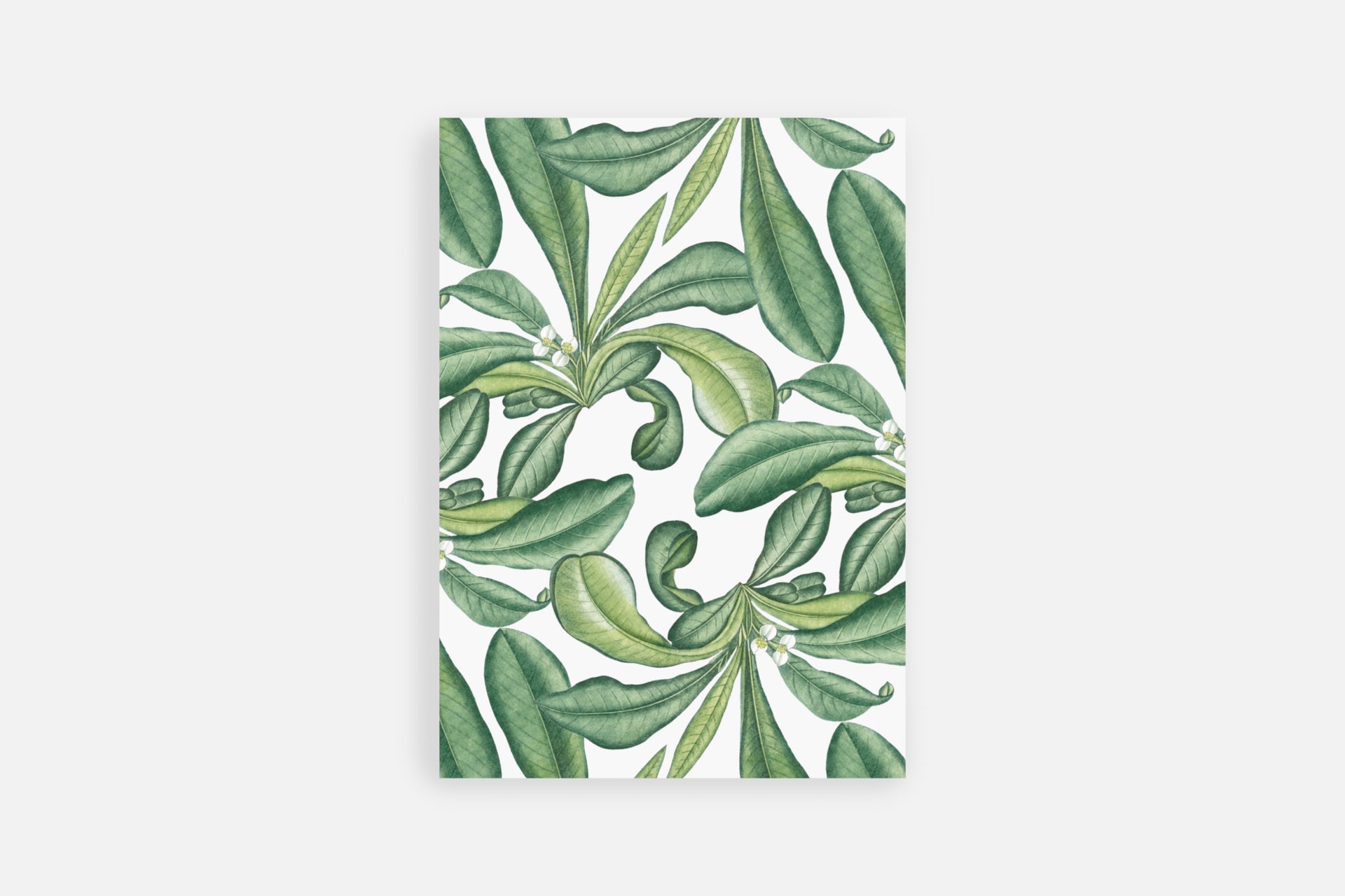 Printable A4 Pattern Sheet Botanical Printable Stationery Digital ...