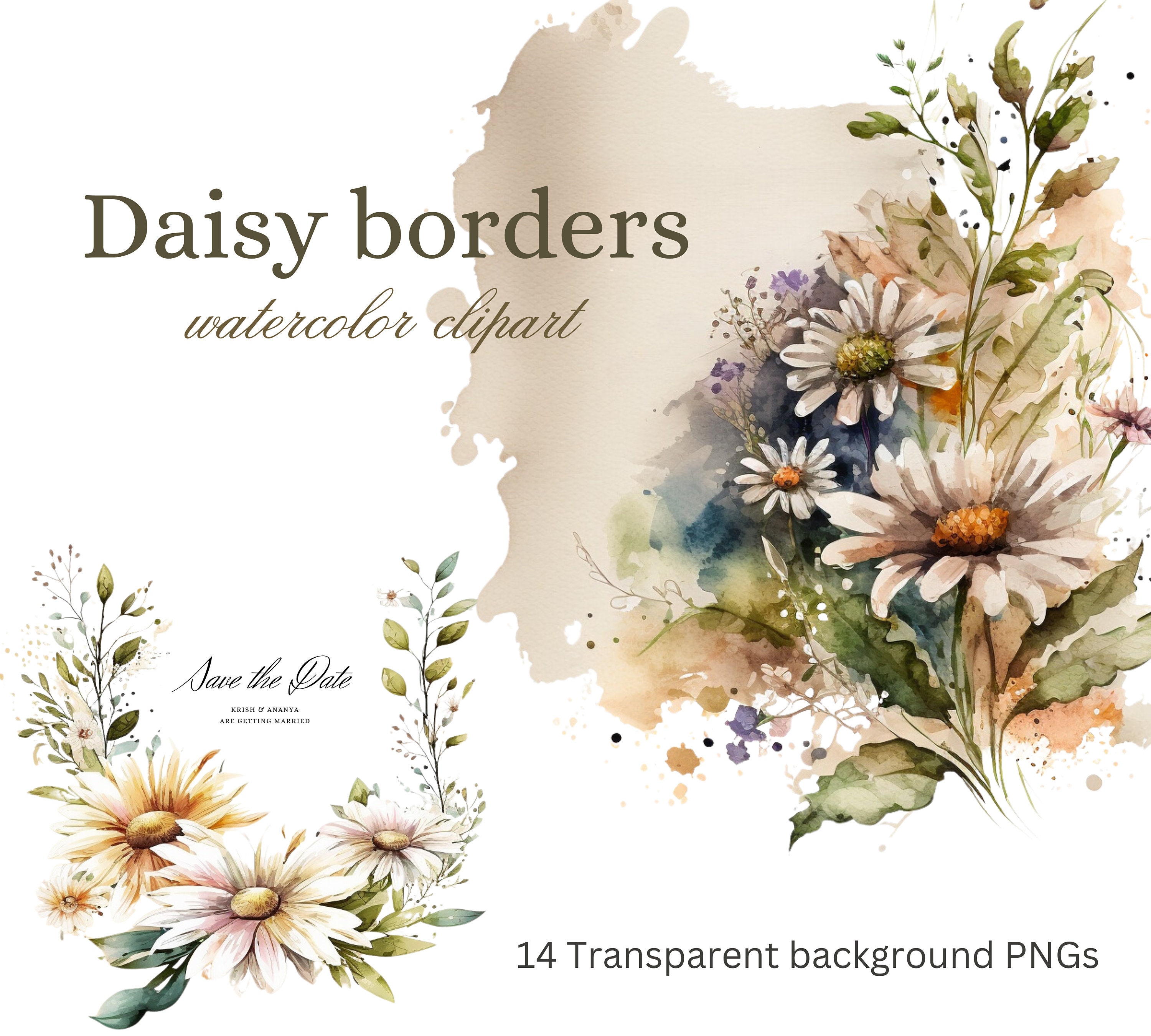 Fresh Daisy Borders Watercolor Clipart: Bright Floral PNG, Spring Daisy ...