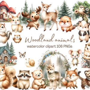 Whimsical Woodland Animals Watercolor Clipart Pngs | Forest Creature ...