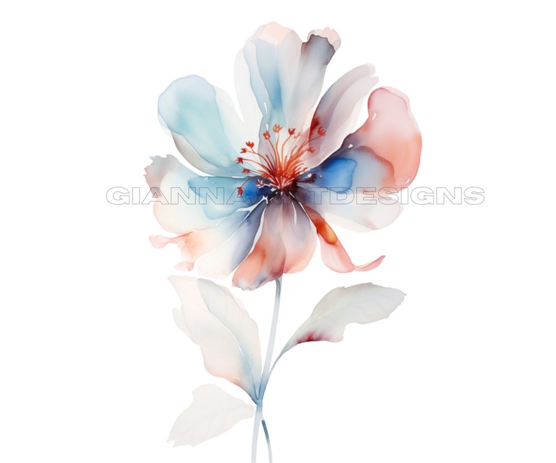 Abstract Floral Watercolor Clipart 27 Pngs - Hand Painted Flower Art ...