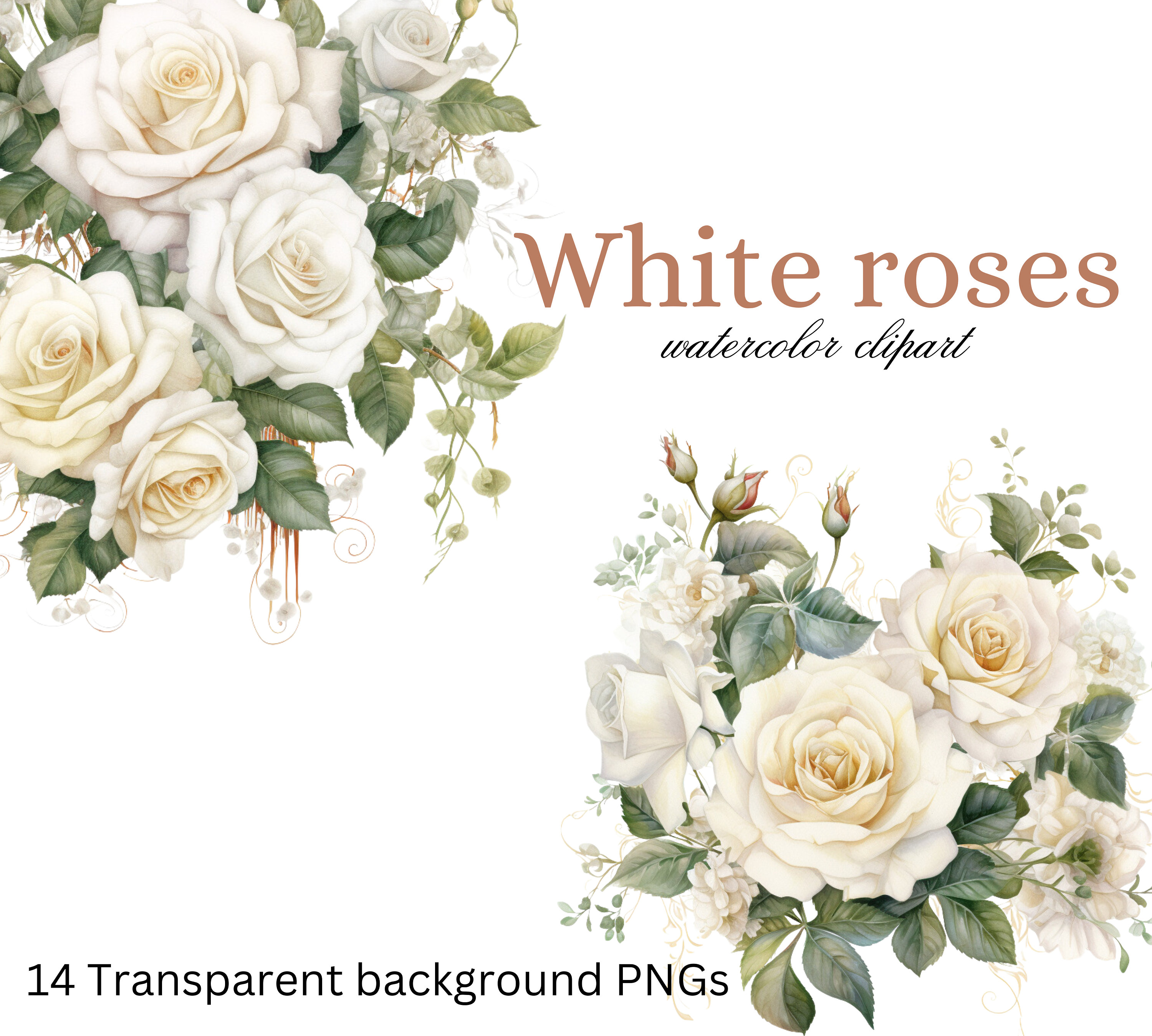 Elegant White Roses Watercolor Clipart: Pure White Rose PNG, Classic ...