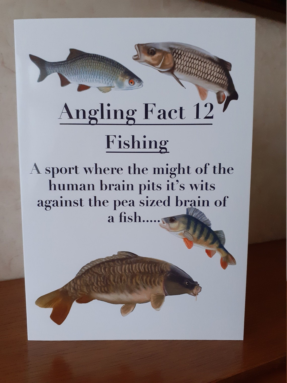 Fun Funny Fishing Birthday Card for the Fisherman or Angler - Etsy UK