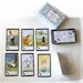 The Rabbit Tarot Deluxe Version Animal Art Card Deck From Original Art ...