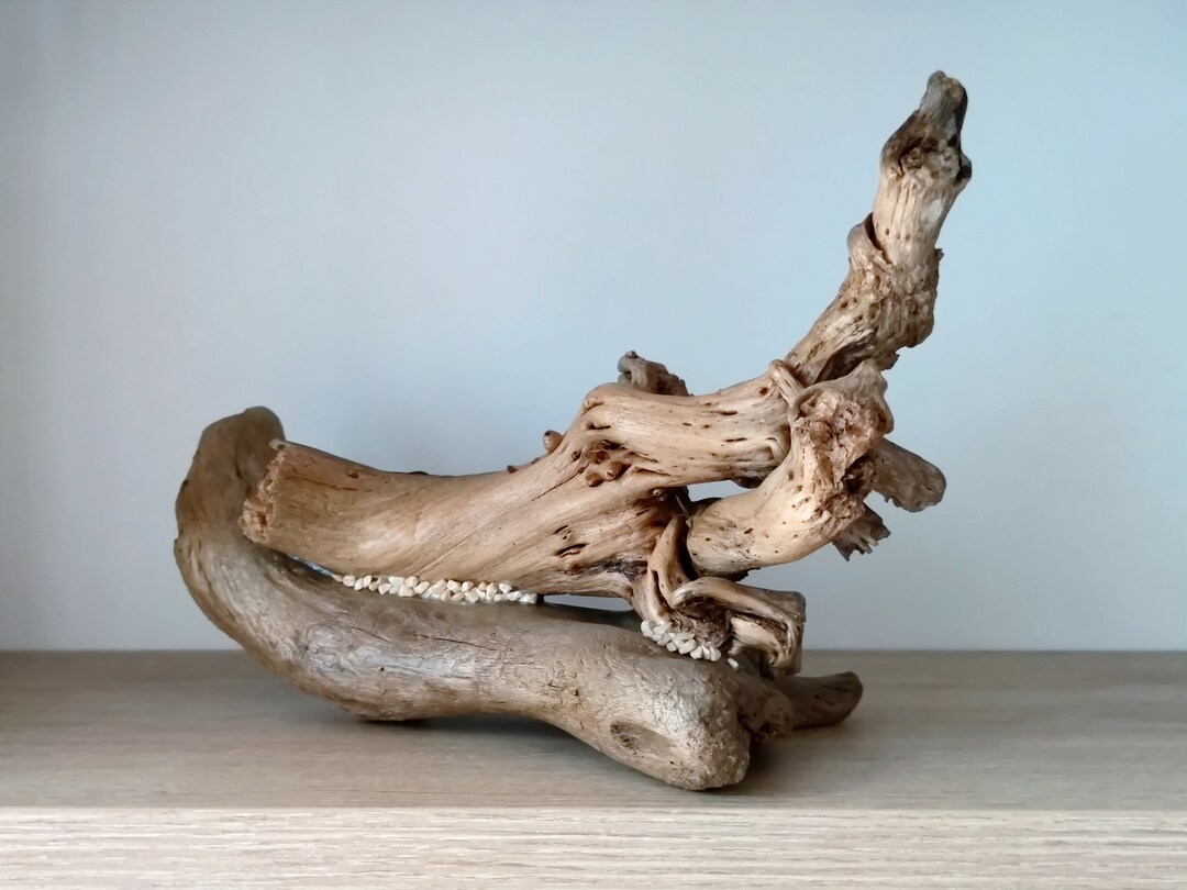 Driftwood Root Sculpture With Holes for Tabletop/ Natural Driftwood ...