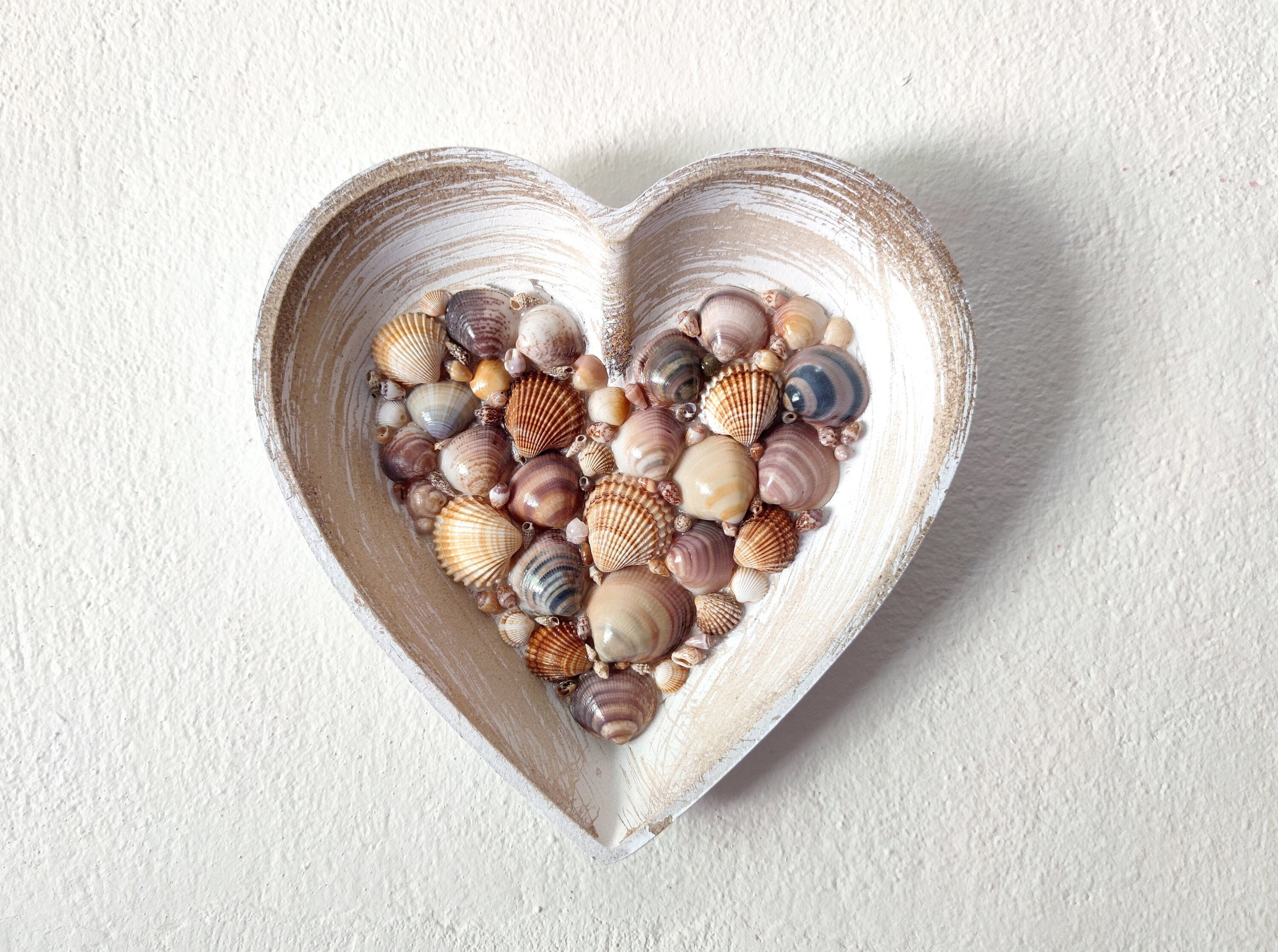Shell Heart