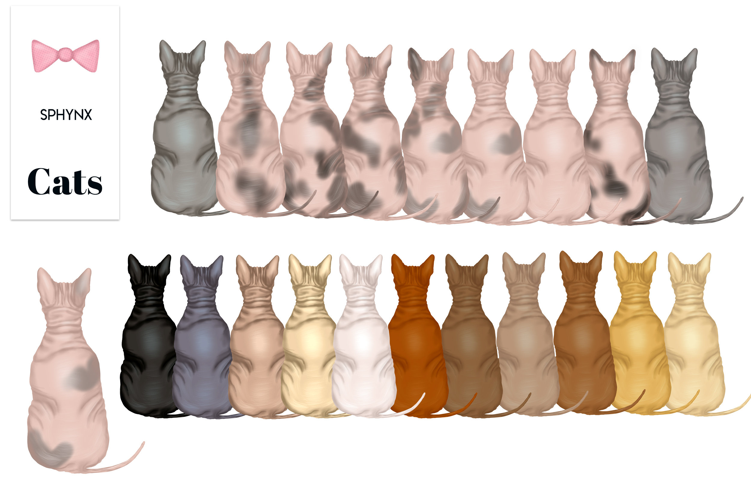 Cat Clipart DIY Portrait Pet Portrait Back of Cats. Gift - Etsy