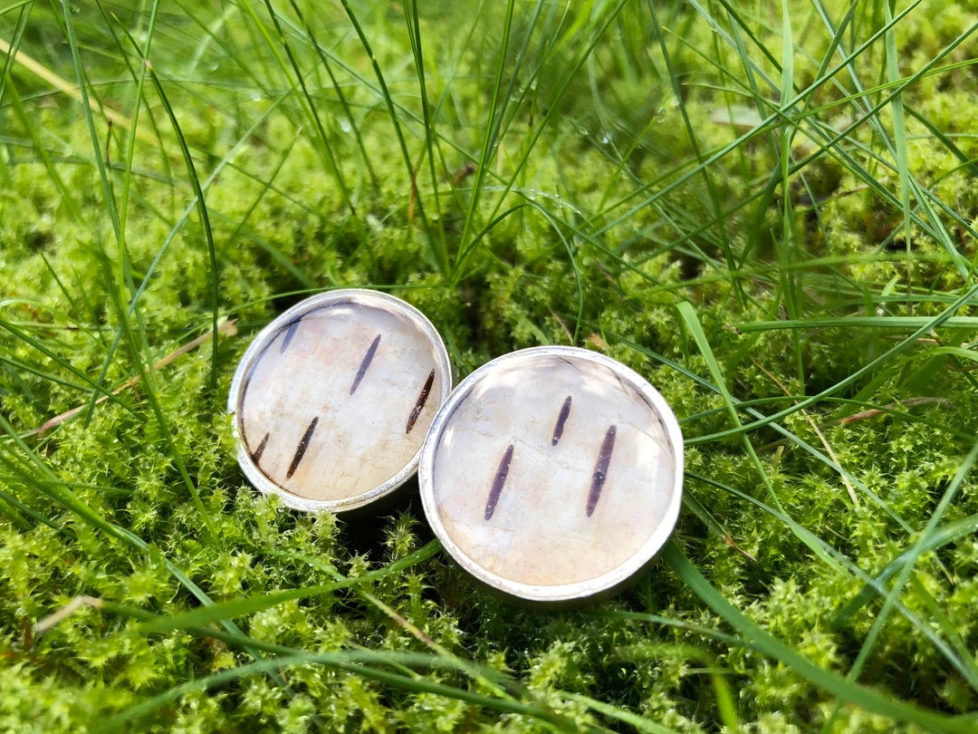 Large Chunky Stud Earrings, Round 20mm, Real Birch Bark, Silver Plated ...