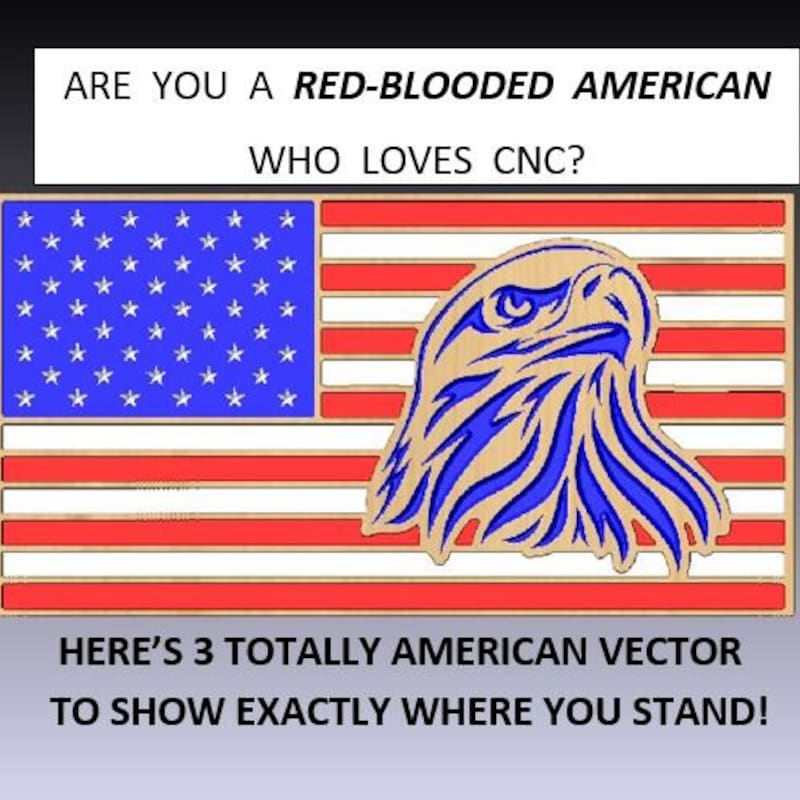 Cnc Eagle Flag File - Etsy